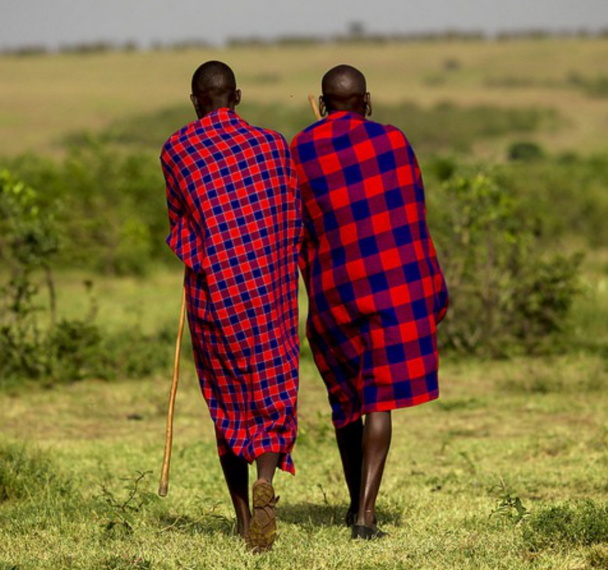 The Maasai: The Unique Beauty of a Traditional Lifestyle | Wataka